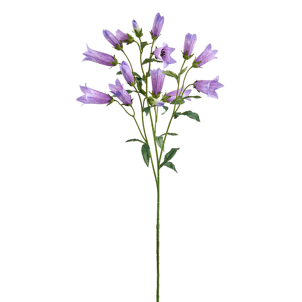 Bellflower Stem — Silks Are Forever