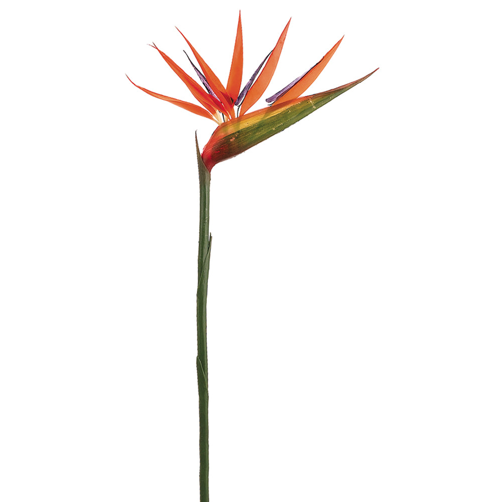 Artificial Bird of Paradise Flowers | Shop Our Silk Bird of Paradise ...