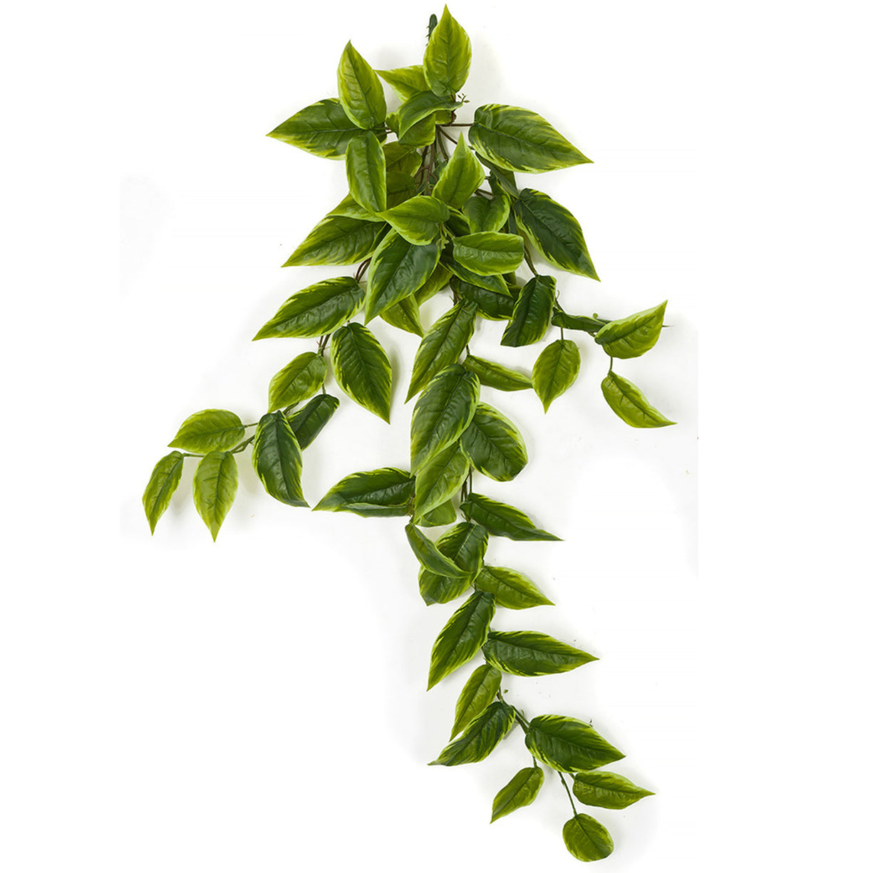 38" Soft Touch Plastic Hanging Pothos Plant -Green — Silks Are Forever