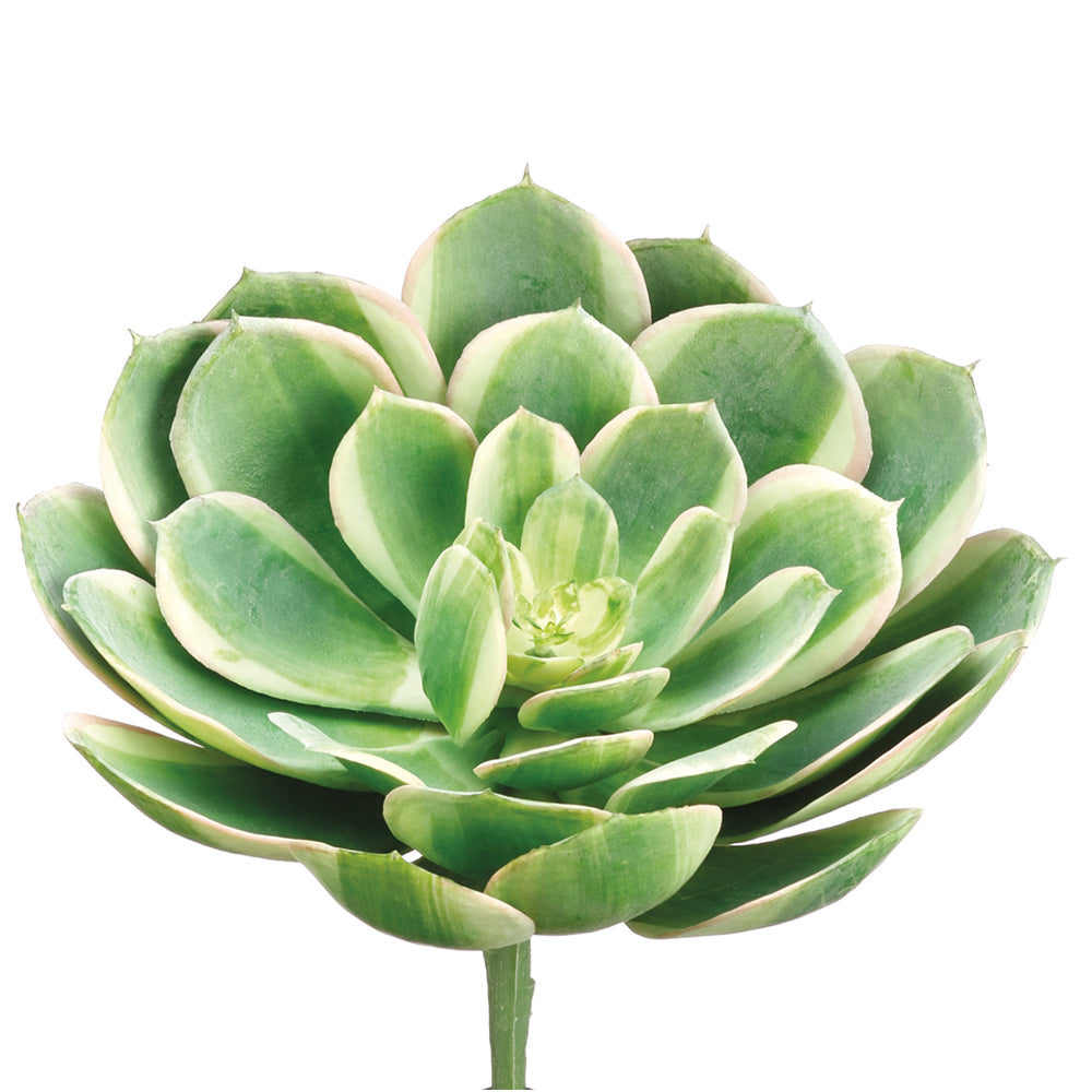 6"Hx9"W Real Touch Echeveria Artificial Stem Pick -Green/Pink — Silks ...