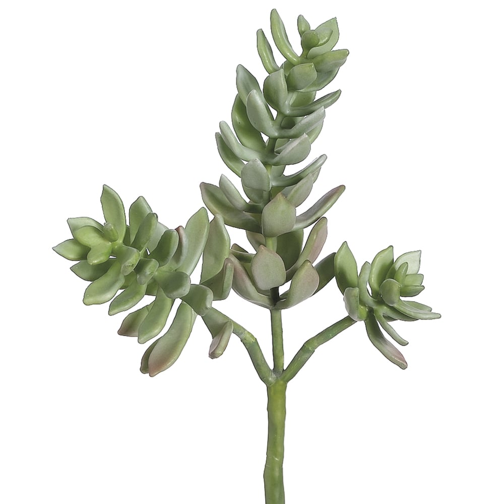 15" Artificial Jade Succulent Stem -Frosted Green | SilksAreForever.com ...