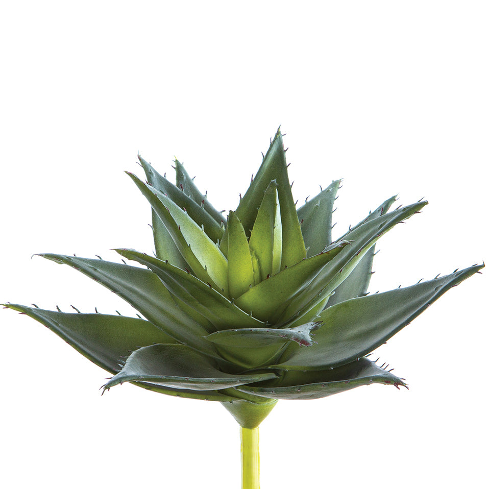 8.5" Real Touch Agave Artificial Plant -Green | SilksAreForever.com ...