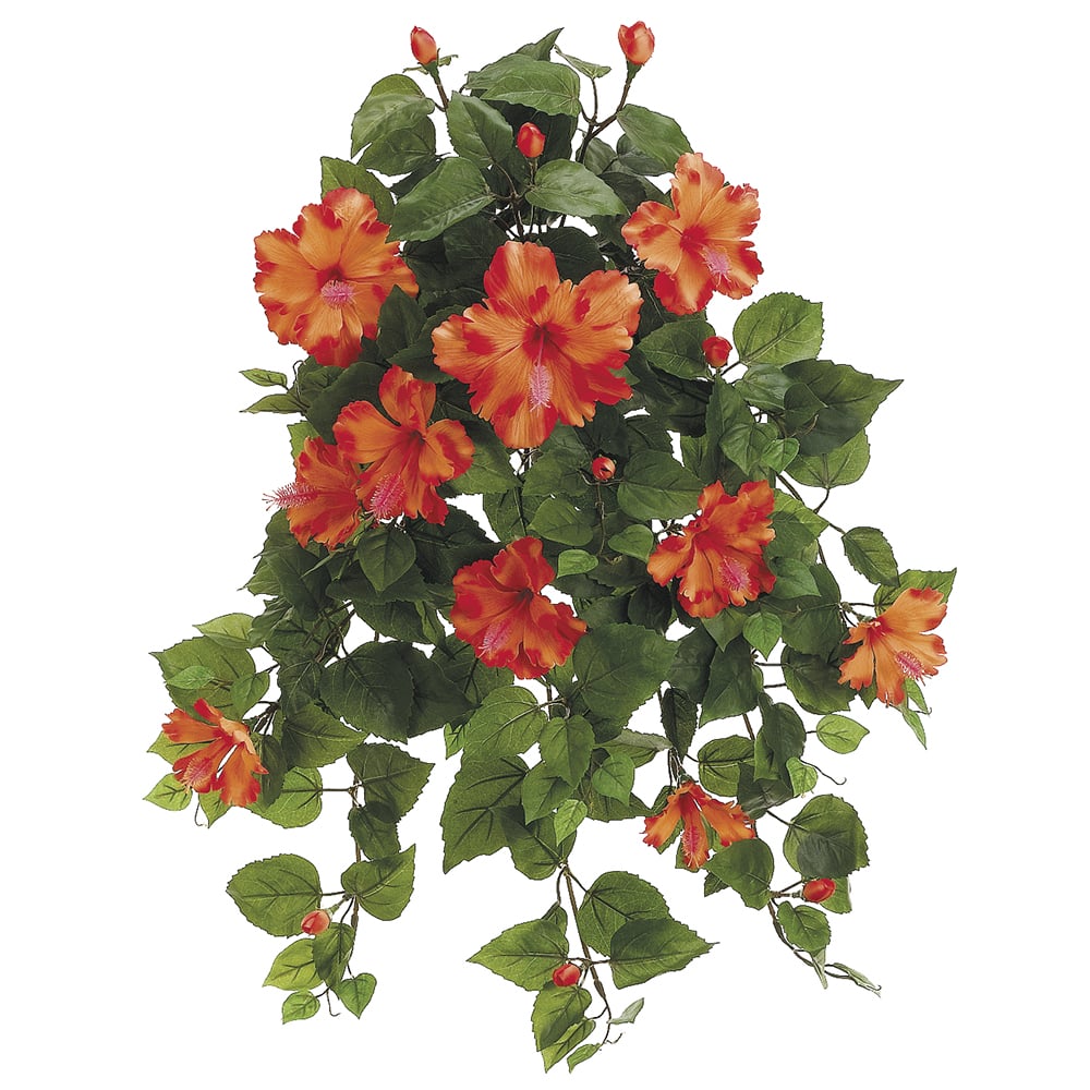 26" Silk Hibiscus Hanging Flower Bush -Orange | Tropical Flowers ...