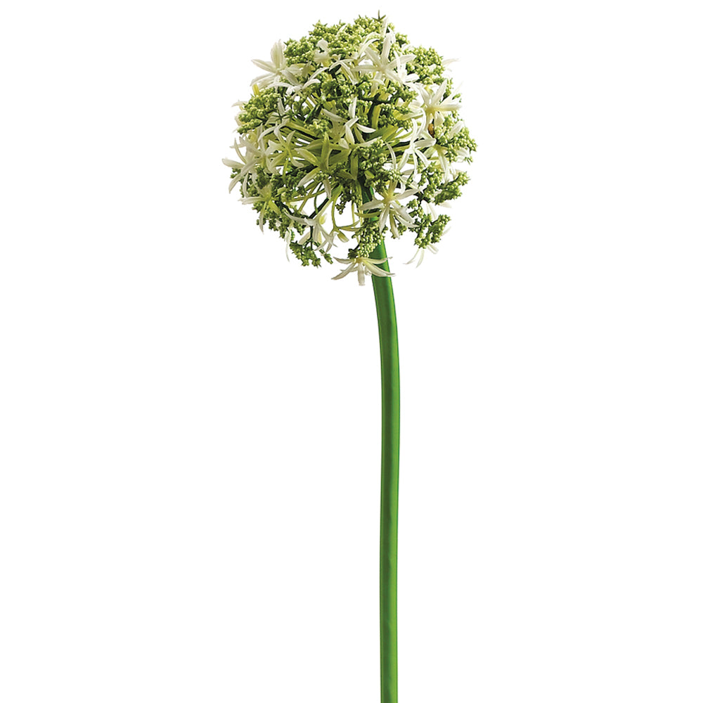 31" Silk Allium Flower Spray -Cream | Allium Stem — Silks Are Forever