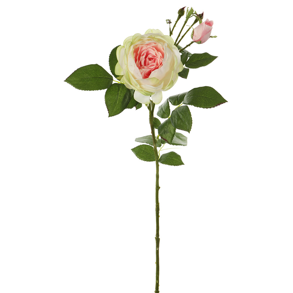 31.5" Silk Rose Flower Stem -Cream/Pink | Rose Stem — Silks Are Forever