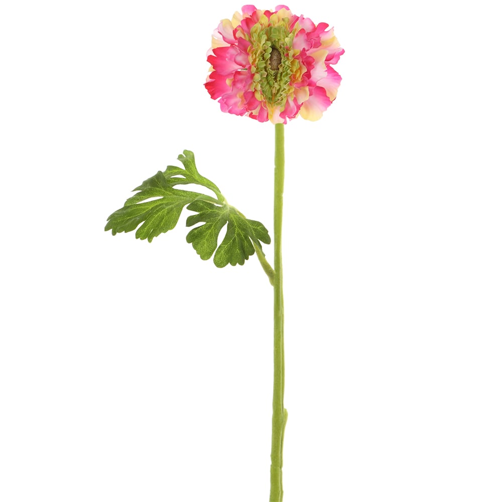 17.5" Silk Ranunculus Flower Stem -Fuchsia/Green | Ranunculus Stem ...