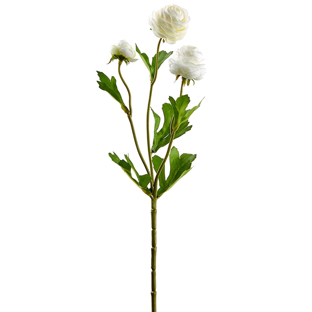 16.5" Mini Silk Ranunculus Flower Stem -Cream | Ranunculus Stem — Silks ...