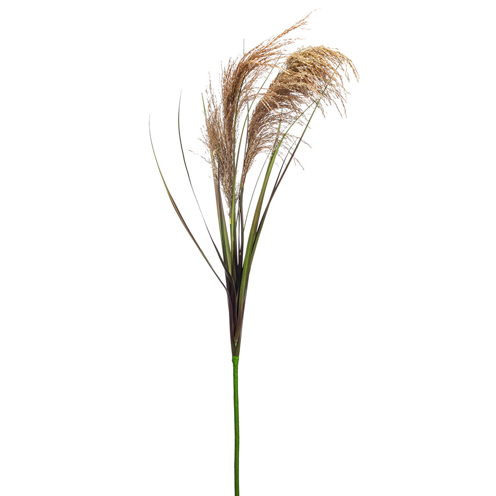 49" Artificial Reed Palm Flower Stem -Beige/Green — Silks Are Forever