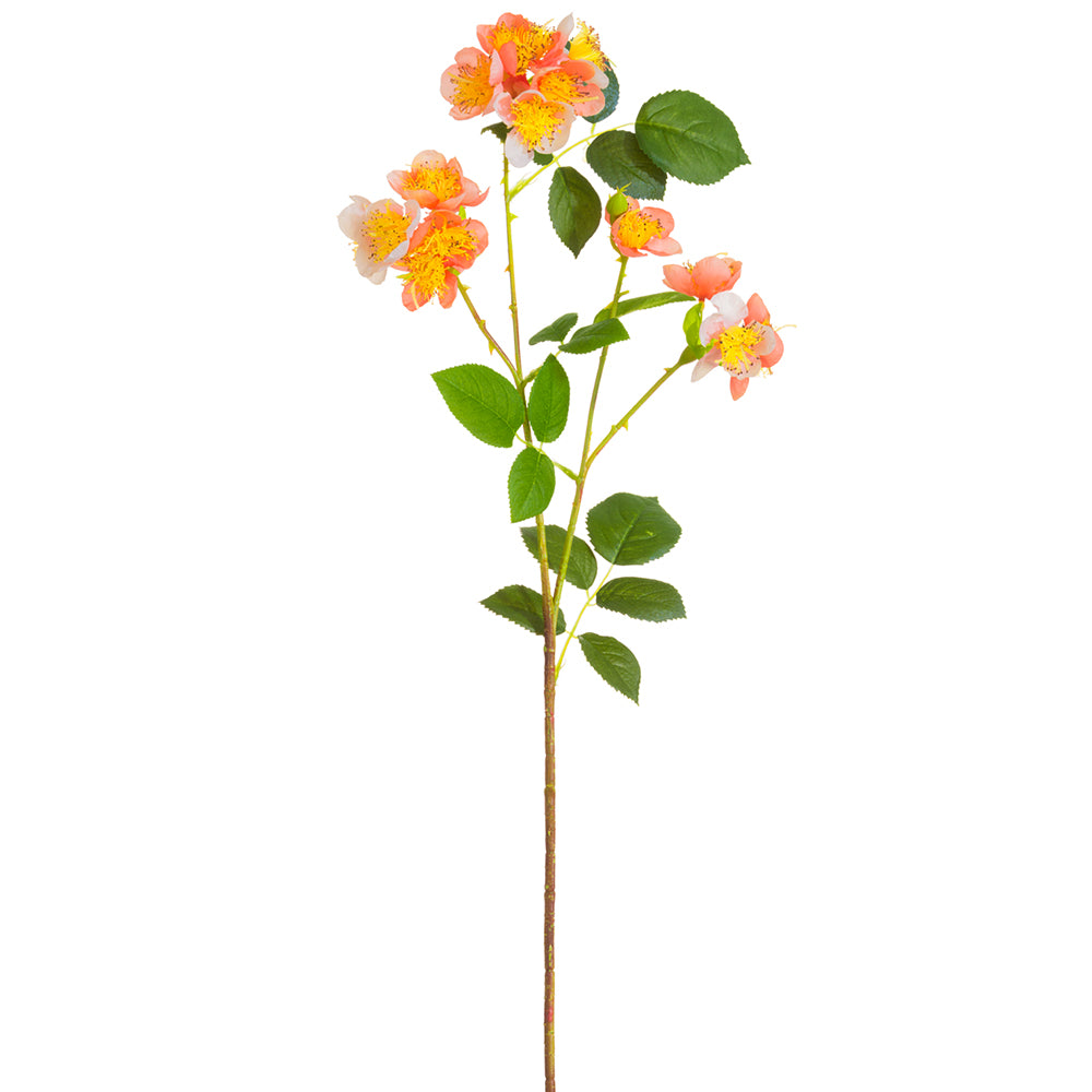 26" Silk Wild Rose Flower Stem -2 Tone Coral | Rose Stem — Silks Are ...