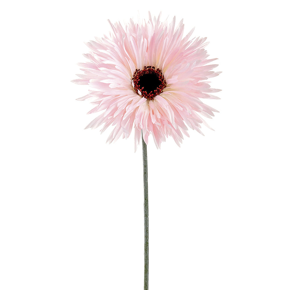 26" Spider Gerbera Daisy Silk Flower Stem -Light Pink — Silks Are Forever