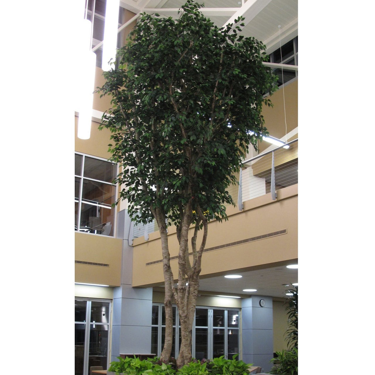 12' CUSTOM MADE Commercial Artificial Ficus Tree w/Pot -Green — Silks ...