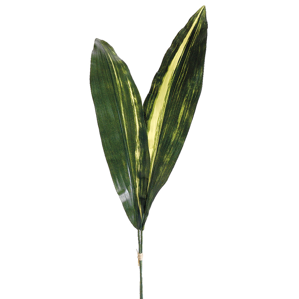 25.5" Silk Aspidistra Leaf Stem Bundle -Green | Tropical & Leaf Stems ...
