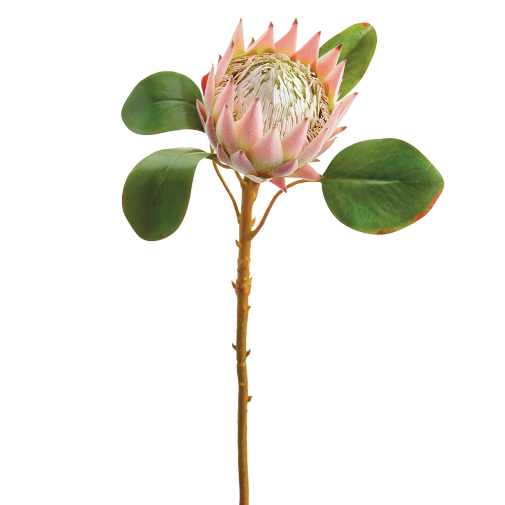 26" Queen Protea Silk Flower Stem -Pink/Green | Protea Stem — Silks Are Forever