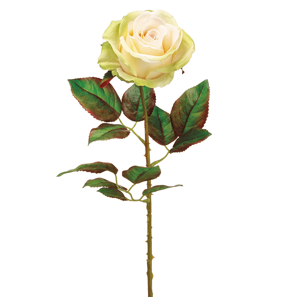 20.5" Hand-Wrapped Silk Rose Flower Spray -Green/Blush | Rose Stem ...
