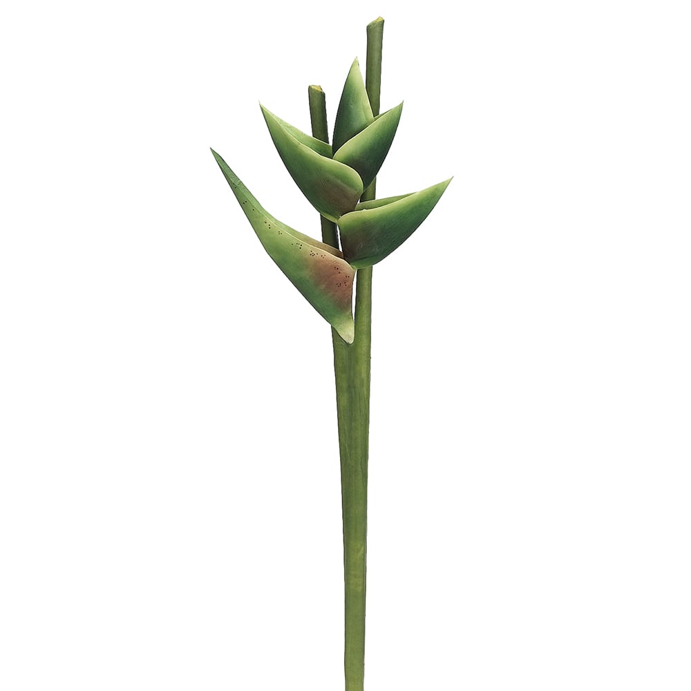 34" Hand-Wrapped Hawaiian Heliconia Silk Flower Stem -Green — Silks Are ...