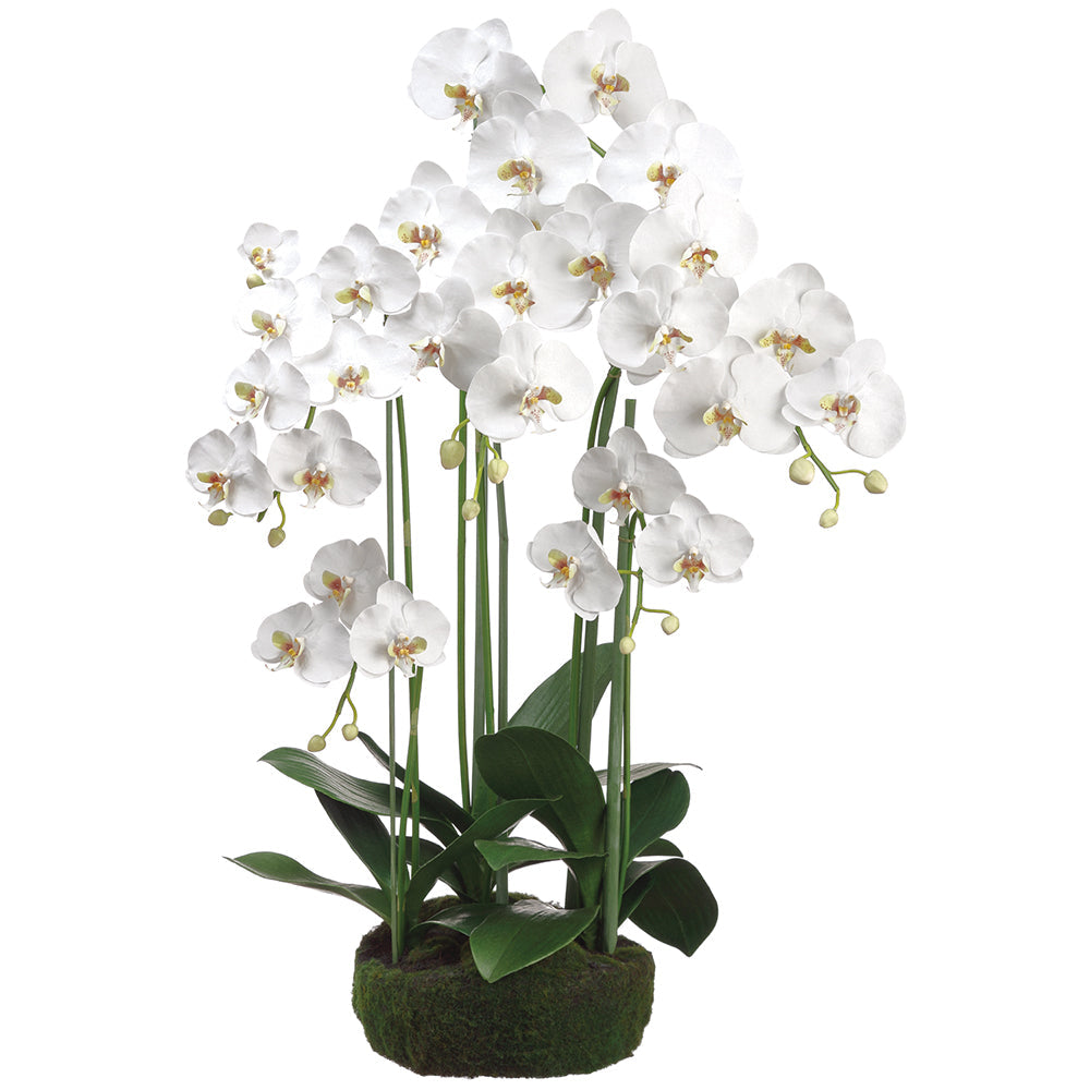 39" Phalaenopsis Orchid Silk Flower Arrangement w/Soil & Moss Base ...