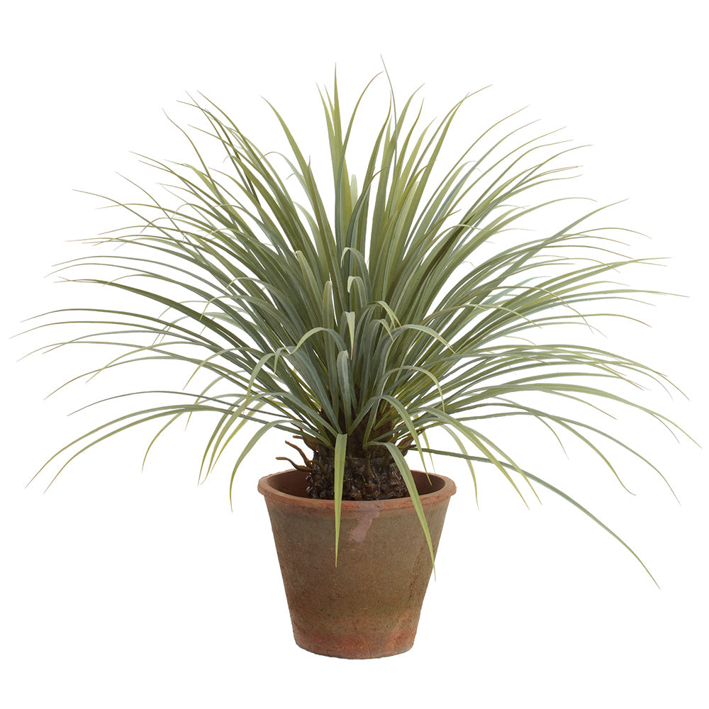 38" Whipple Yucca Artificial Plant w/Clay Pot -Green/Gray — Silks Are ...