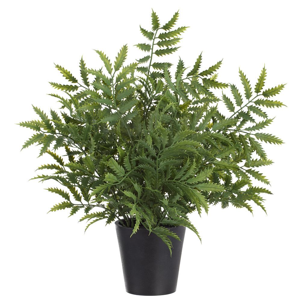 16.5" Leather Leaf Fern Silk Plant w/Plastic Pot -Green | Fern Plants ...