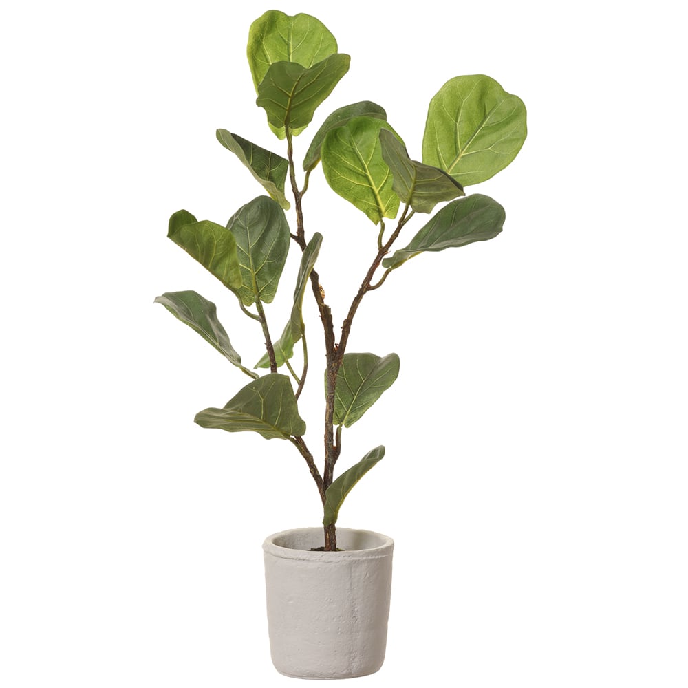 27" Silk Fiddle Leaf Fig Tree w/Ceramic Pot -Green — Silks Are Forever