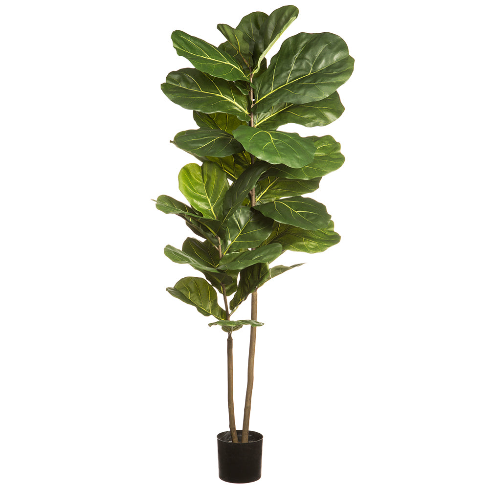 5'3" Double Trunk Silk Fiddle Leaf Fig Tree w/Plastic Pot -Green ...
