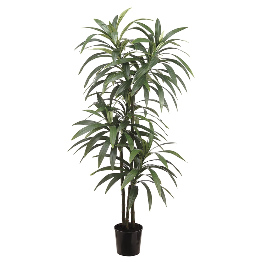 6' Silk Yucca Tree w/Pot -Green | Dracaena & Yucca Trees — Silks Are ...