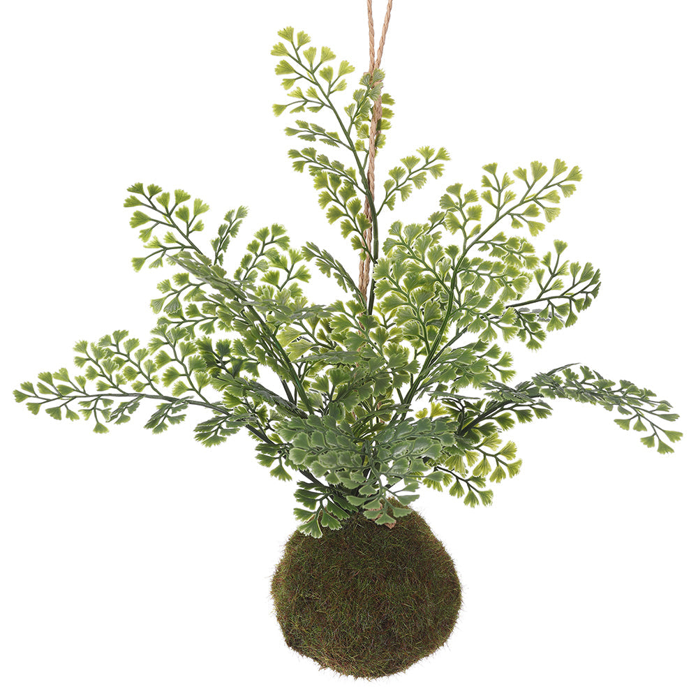 8" Maidenhair Fern Leaf Artificial Wall Plant w/Moss Ball -Green ...
