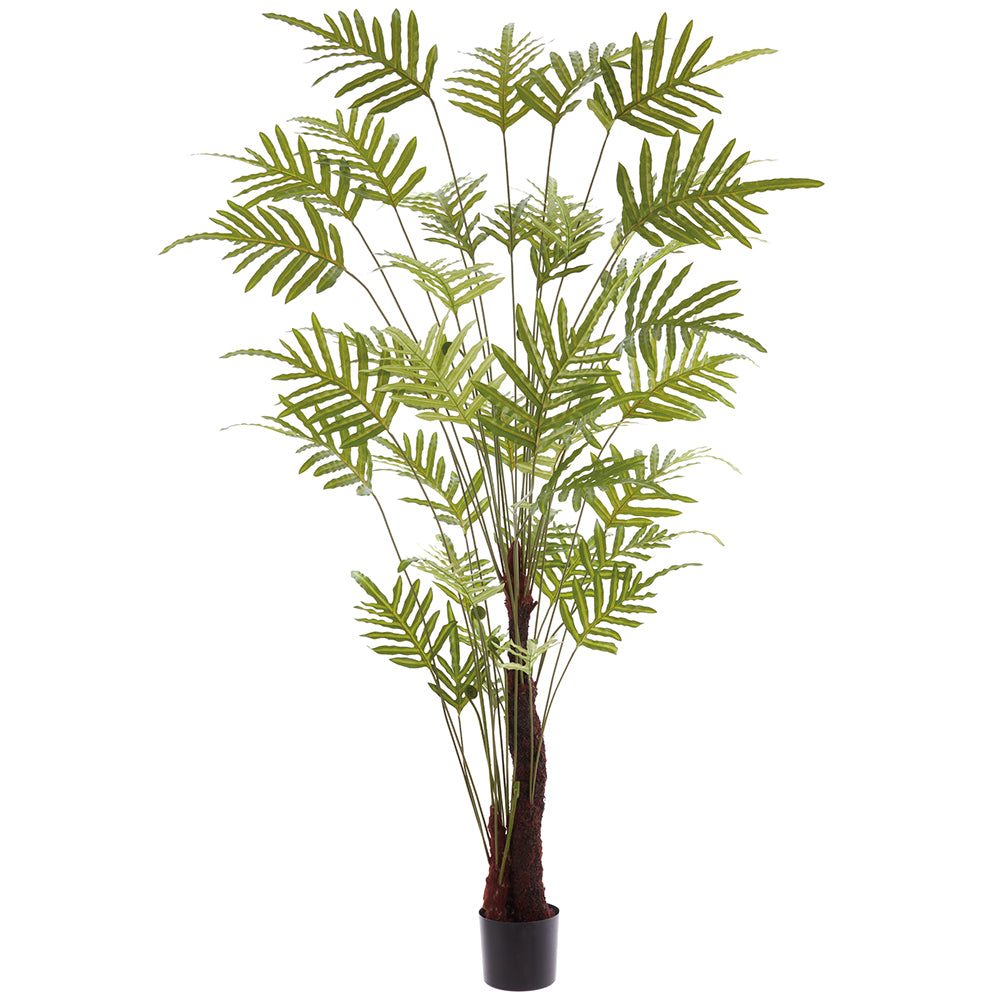 8' Java Fern Artificial Tree w/Plastic Pot -Green | Fern Plants — Silks ...