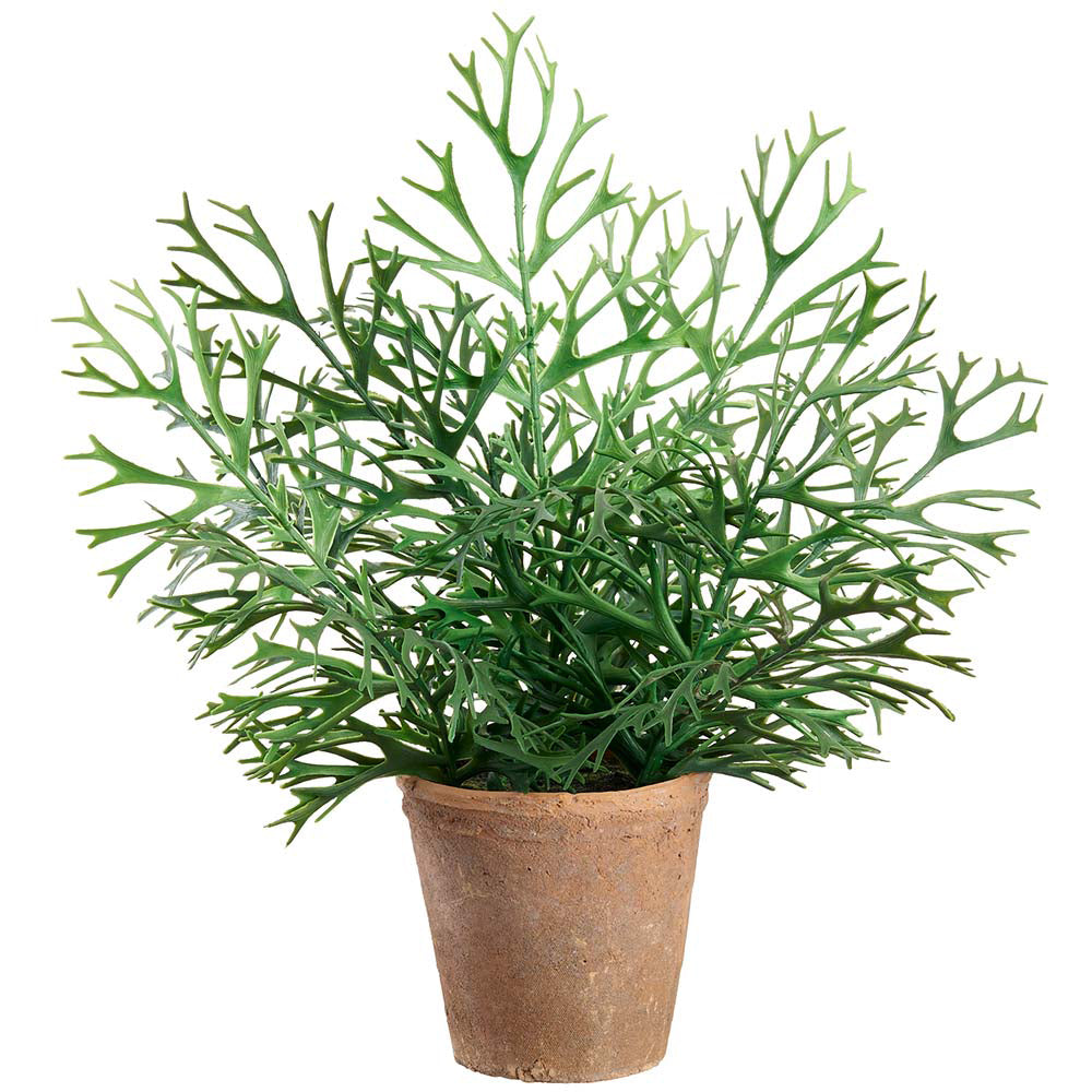 Outdoor UV-Resistant Artificial Staghorn Fern Plant w/Clay Pot -Green — Silks Are Forever