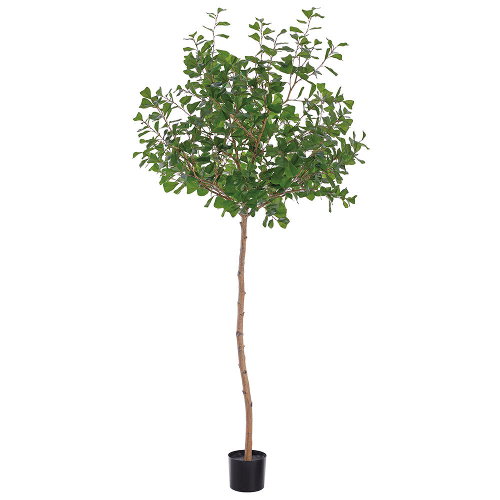 8' Ficus Triangularis Ball-Shaped Silk Topiary Tree w/Pot -Green ...