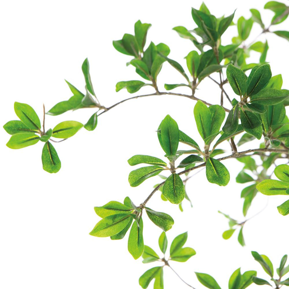 7' Shady Lady Olive Silk Tree w/Pot -Green | Olive Trees — Silks Are ...