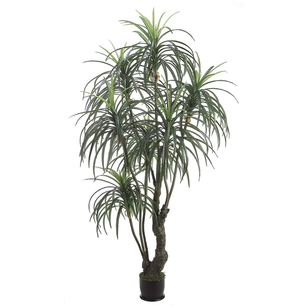 7' Yucca Silk Tree w/Pot | Dracaena & Yucca Trees — Silks Are Forever