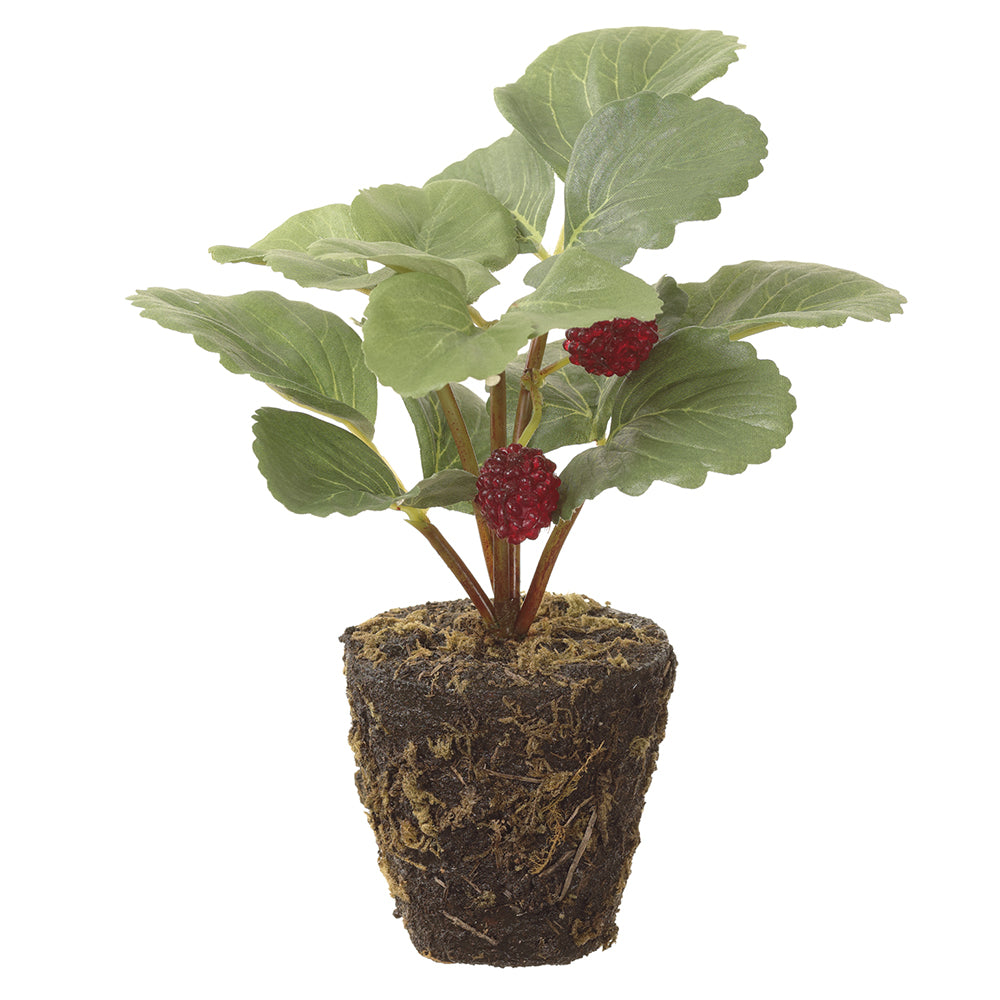 6.5" Artificial Raspberry Fruit Plant w/Soil & Roots -Raspberry — Silks ...