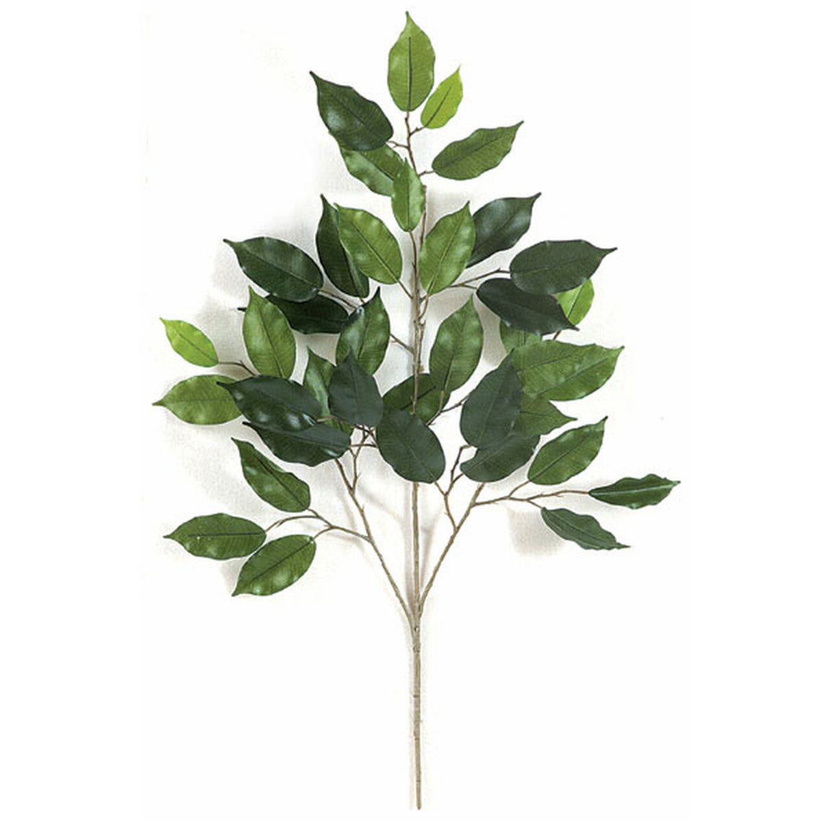 25" Silk Ficus Leaf Stem -2 Tone Green | Tree Branch Stems — Silks Are ...