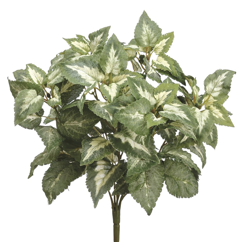 15" Silk Coleus Plant -Green/Variegated | Everyday Greenery Plants ...