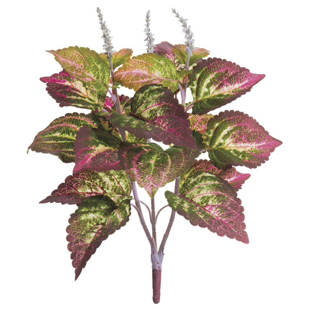 19" Large Leaf Silk Coleus Plant -Green | Everyday Greenery Plants ...