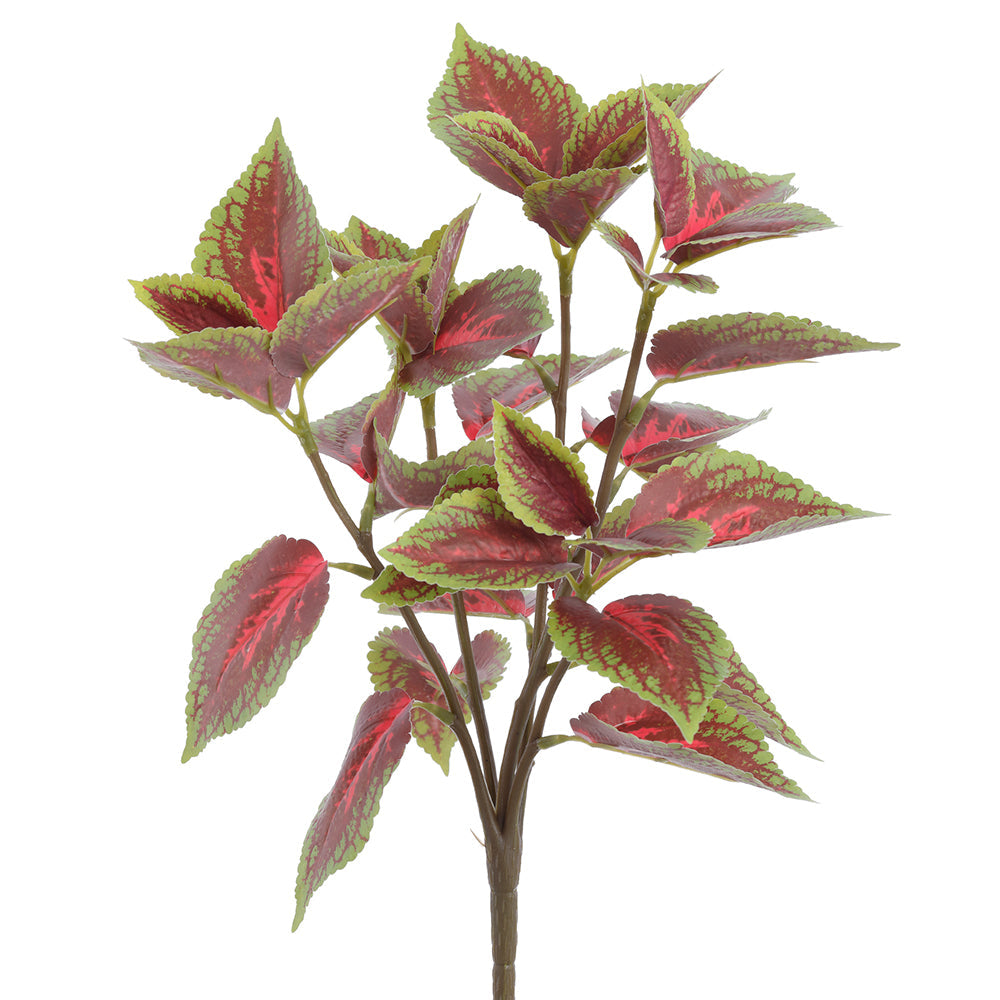 15" Coleus Silk Plant -Burgundy/Green | Everyday Greenery Plants ...