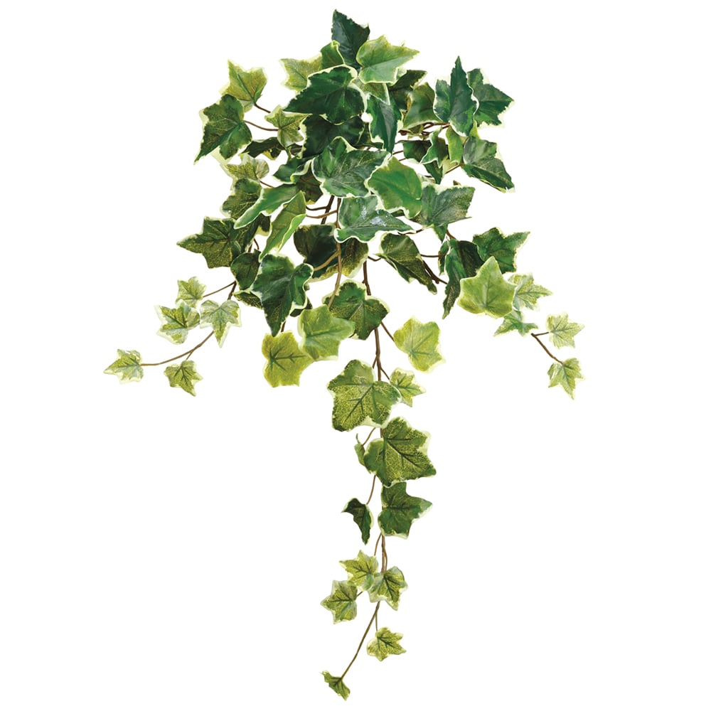 One-Piece Construction Ivy Silk Hanging Plant -78 Leaves -Variegated ...
