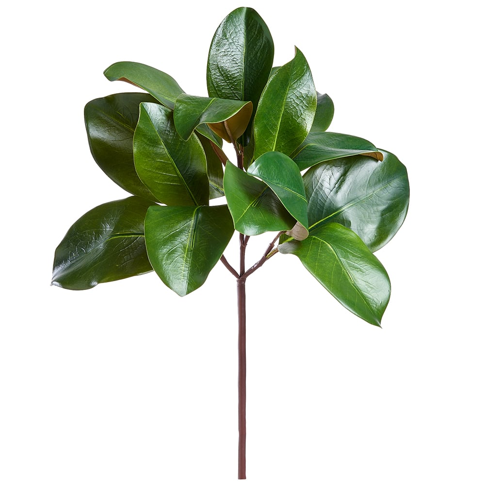 16" Silk Magnolia Leaf Stem Pick -Green | Everyday & Garden Stems ...