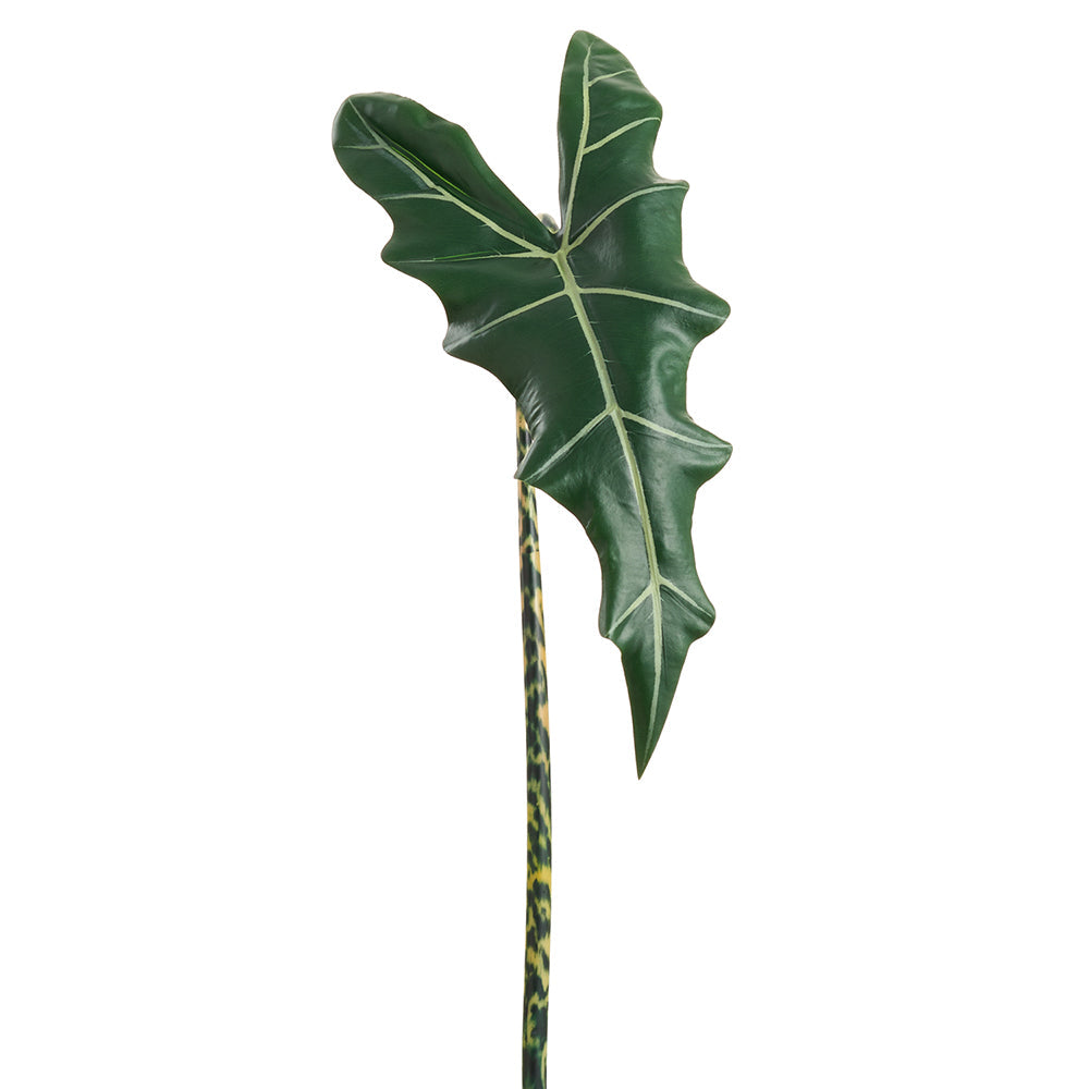 44" Real Touch Silk Alocasia Leaf Stem -Green | Tropical & Leaf Stems ...