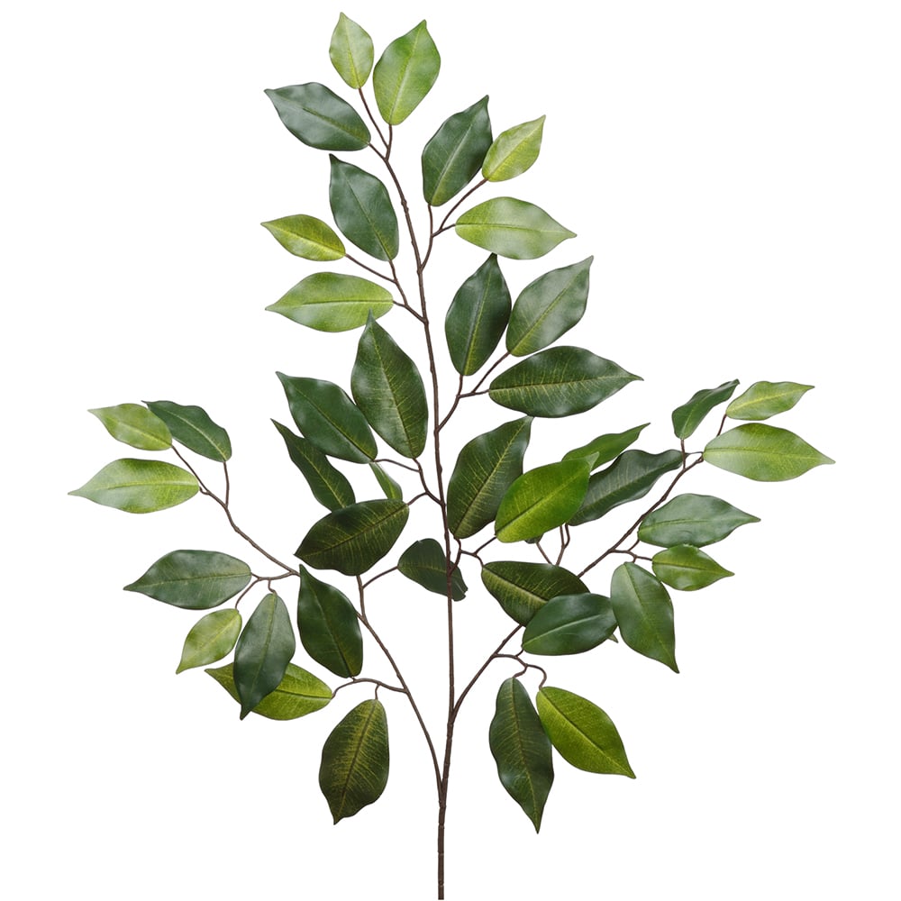 24" Silk Ficus Benghalensis Leaf Stem -2 Tone Green — Silks Are Forever