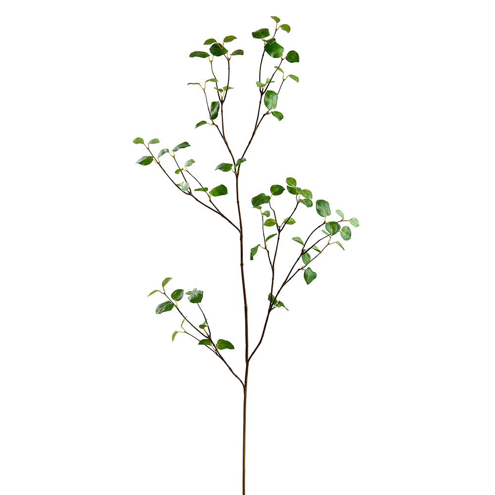 61" Silk Bay Leaf Stem -Green | Tree Branch Stems — Silks Are Forever