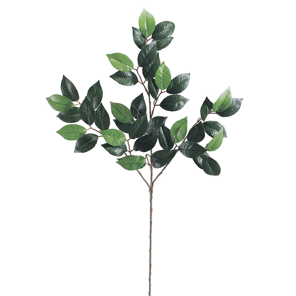 27" Silk Camellias Leaf Stem -2 Tone Green | Tree Branch Stems — Silks ...
