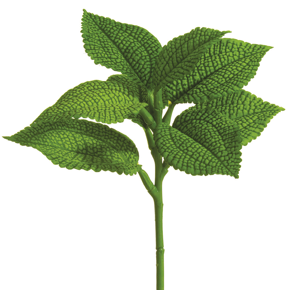 10" Silk Coleus Leaf Stem -Green | Everyday & Garden Stems — Silks Are ...