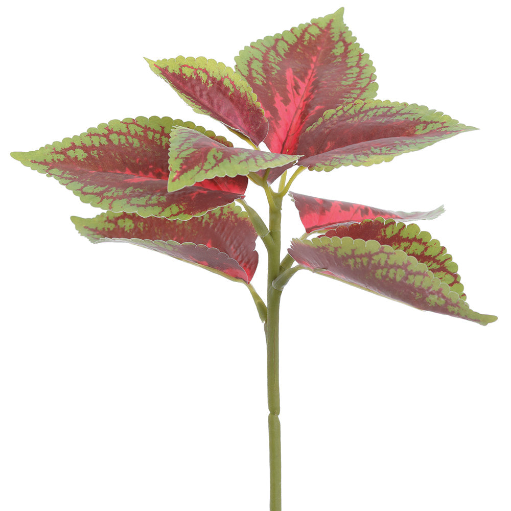 10" Coleus Leaf Silk Stem -Burgundy/Green | Everyday & Garden Stems ...