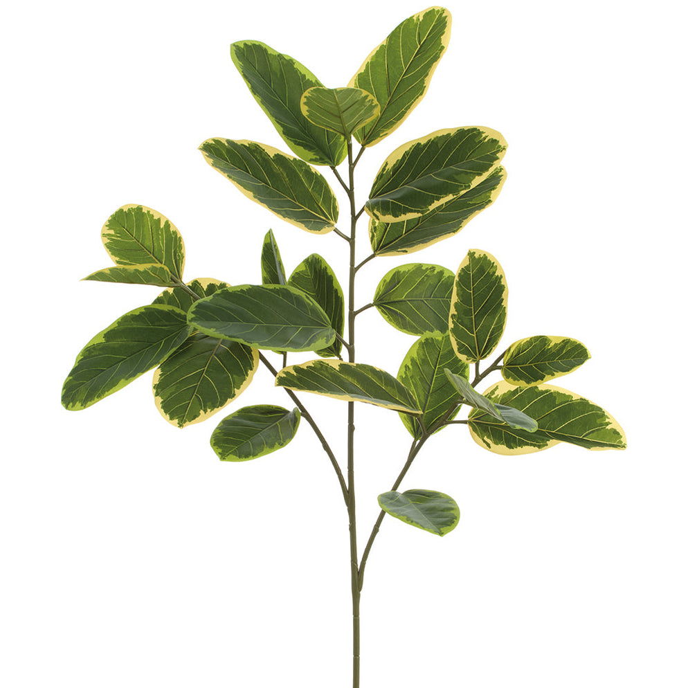 35" Outdoor UV-Resistant Artificial Ficus Leaf Stem -Variegated — Silks ...