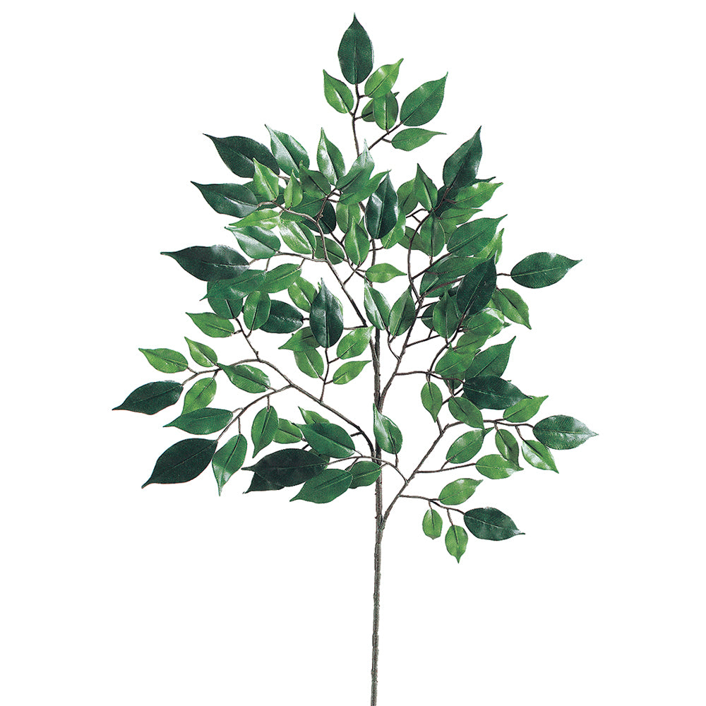 23" Silk Nitida Ficus Stem -Green | Tree Branch Stems — Silks Are Forever