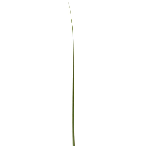 30" Artificial Grass Leaf Stem -Green | Ornamental Grass Stems — Silks ...