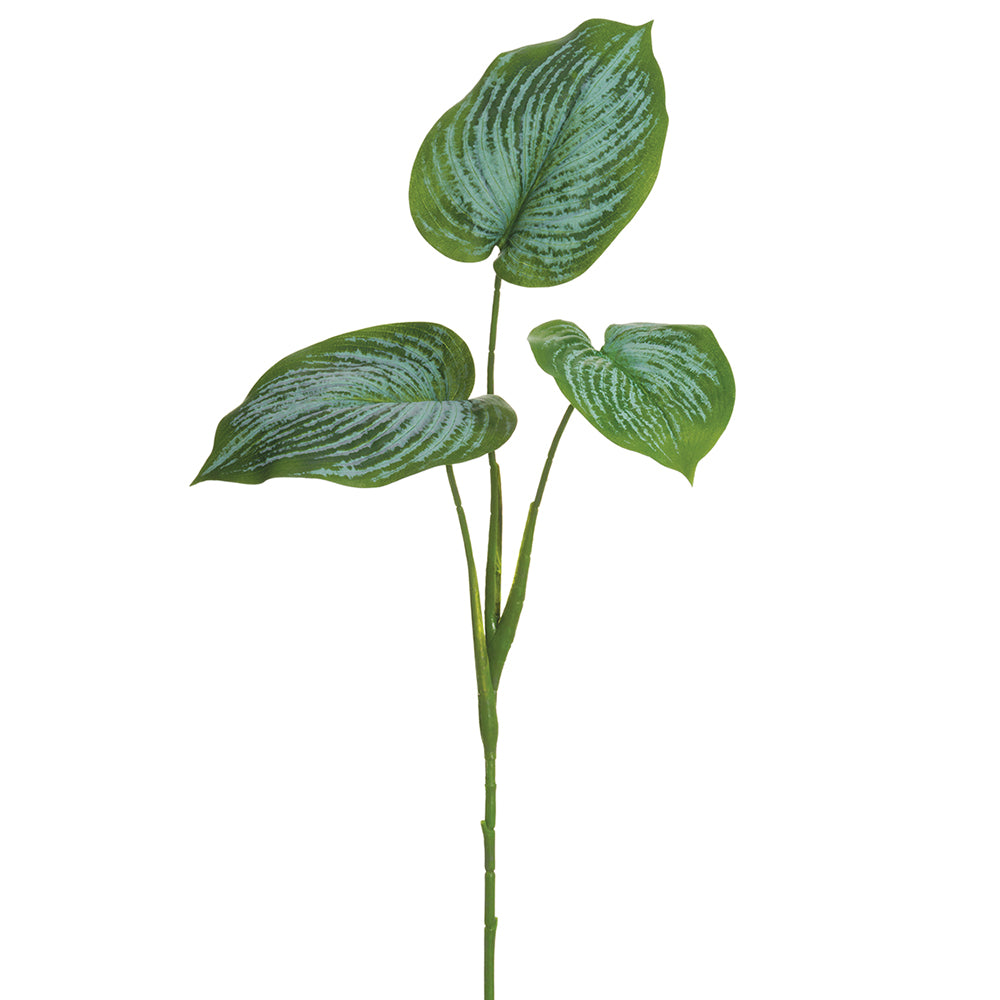 28" Silk Hosta Leaf Stem -Green | Tropical & Leaf Stems — Silks Are Forever