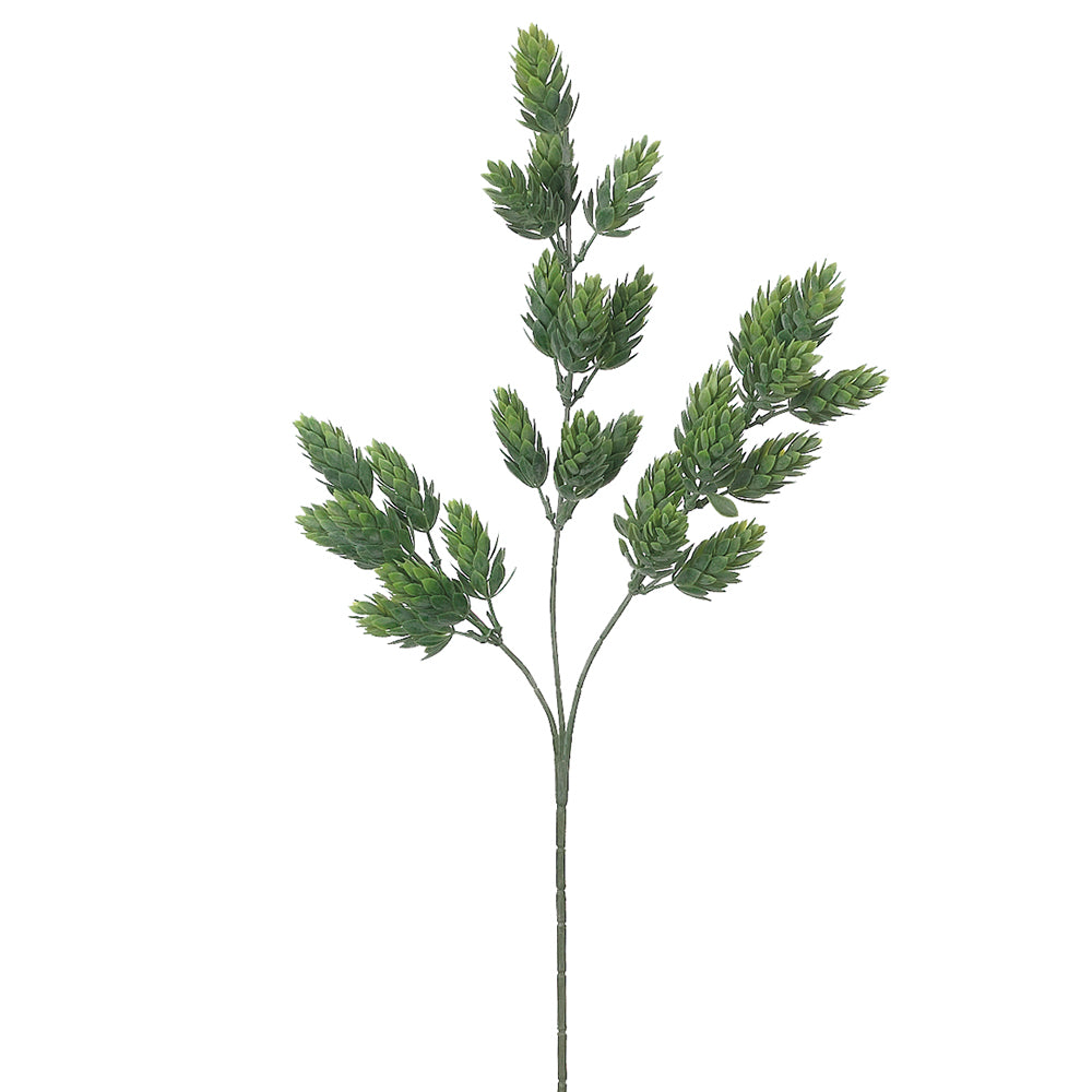 26.5" Artificial Hops Stem -Frosted Green | Everyday & Garden Stems ...