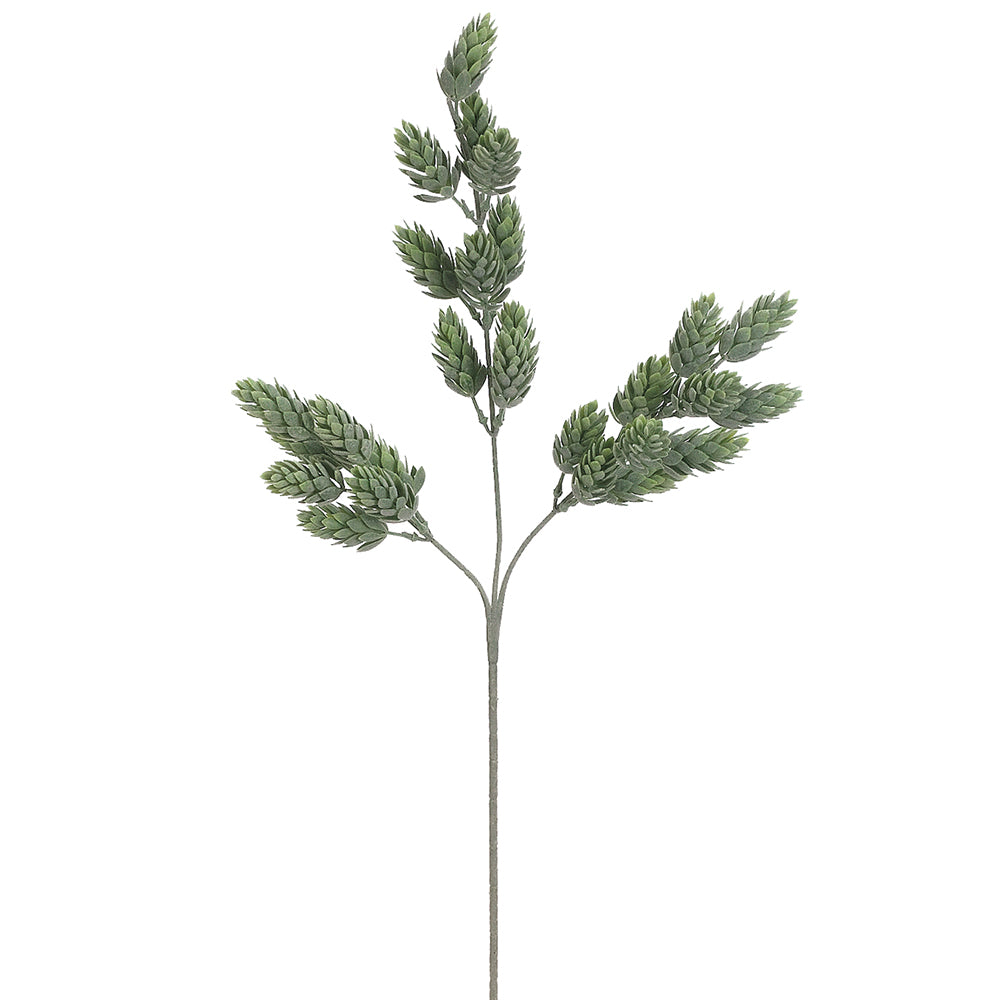 25" Artificial Hops Stem -Green/Gray | Everyday & Garden Stems — Silks ...